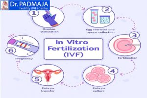 What Are The Steps Involved In Ivf?
